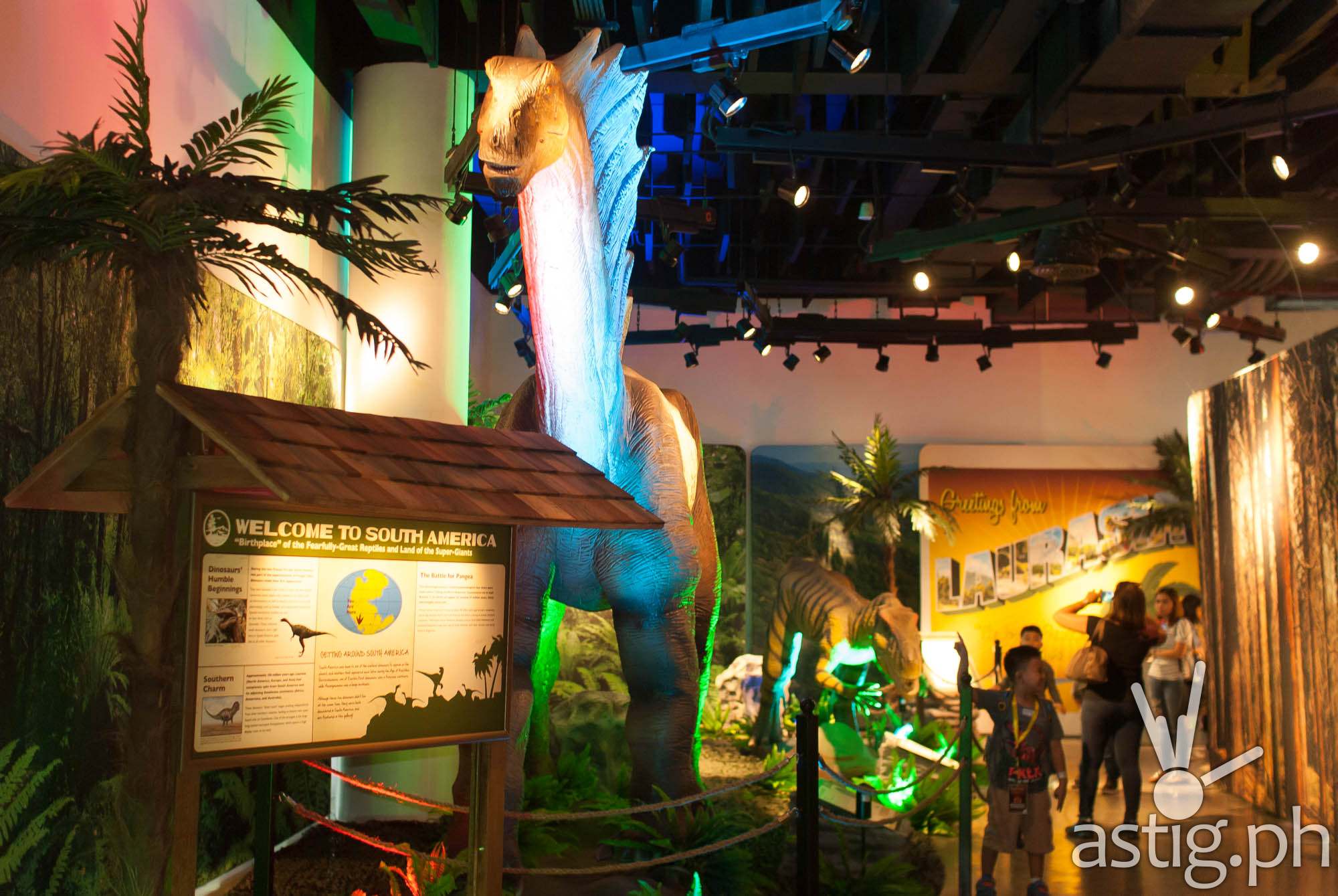 4 reasons to visit ‘Dinosaurs Around the World’ animated exhibit at the ...