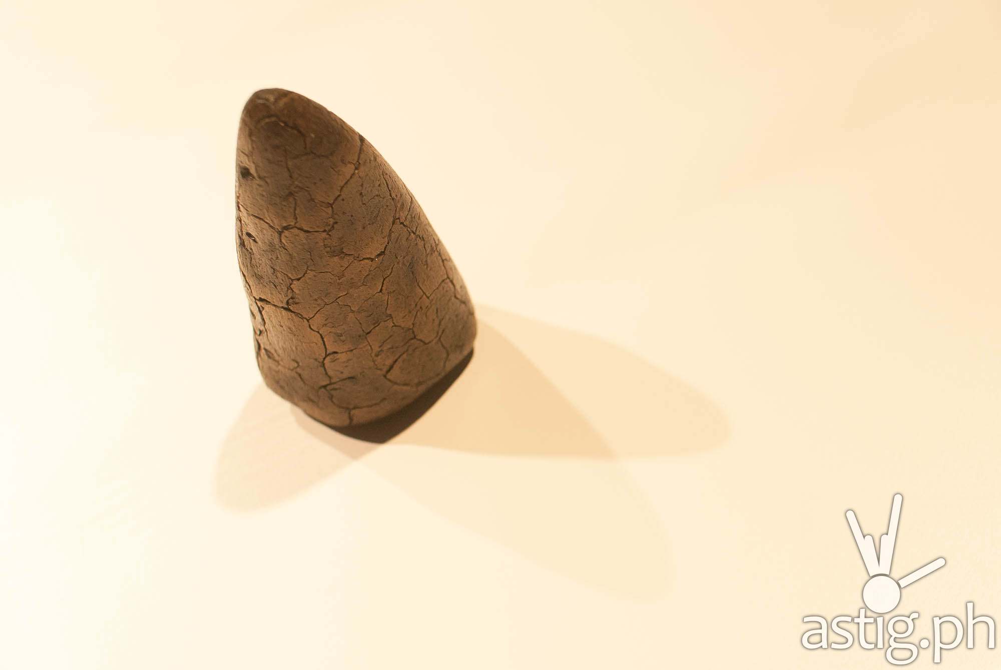 Iguanodon Thumbspike – Dinosaurs Around The World exhibit – Mind Museum ...