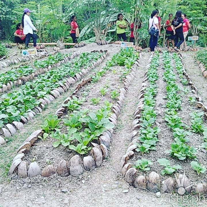 Travel to Davao Housing, Livelihood, Farming and Sustainable CSR ...