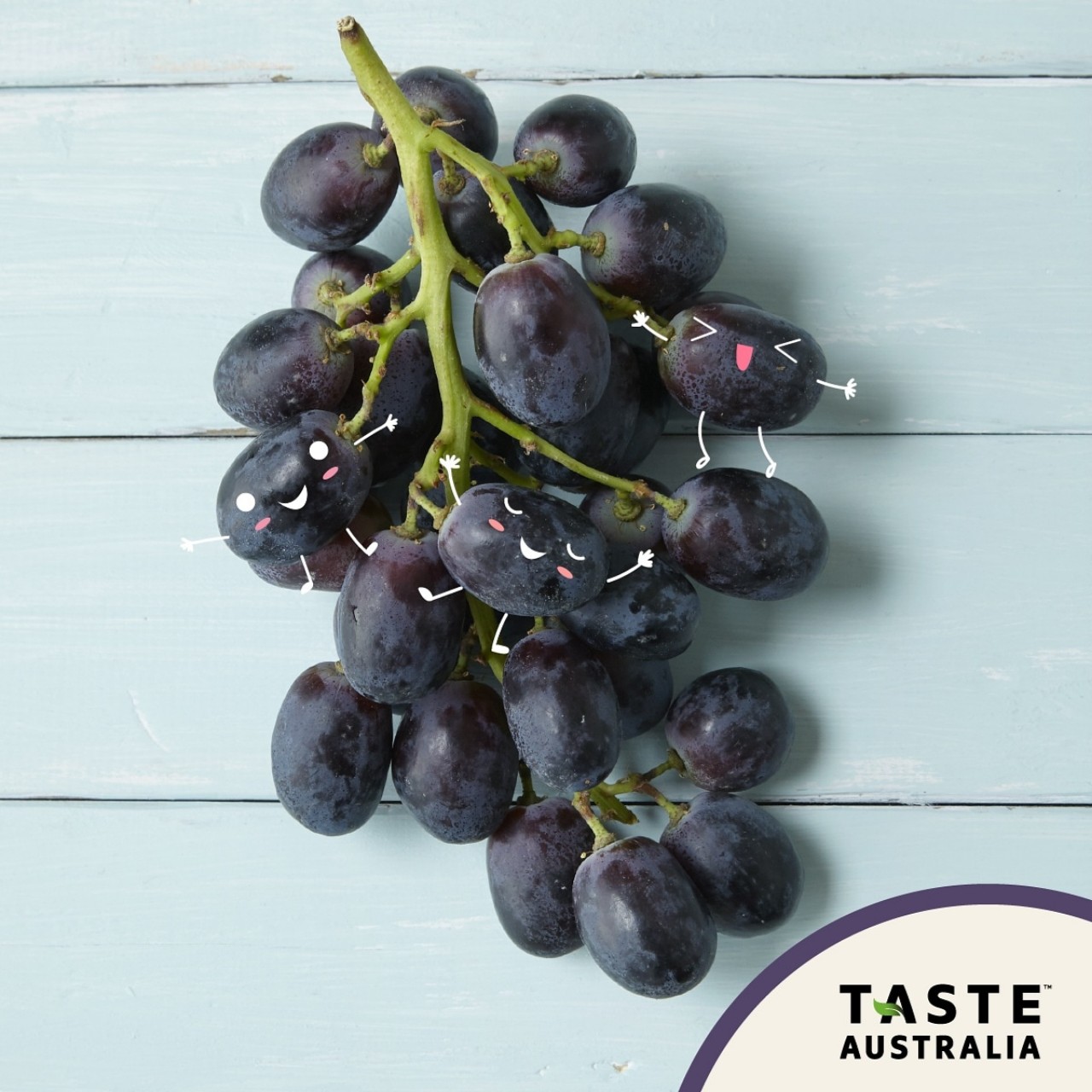 Important Thing You need to learn about Australian Grapes – ASTIG ...