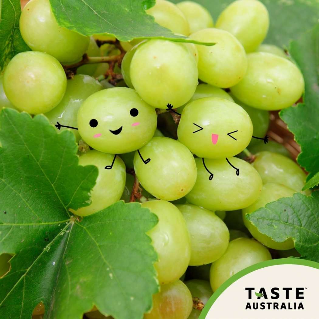 Important Thing You need to learn about Australian Grapes – ASTIG ...