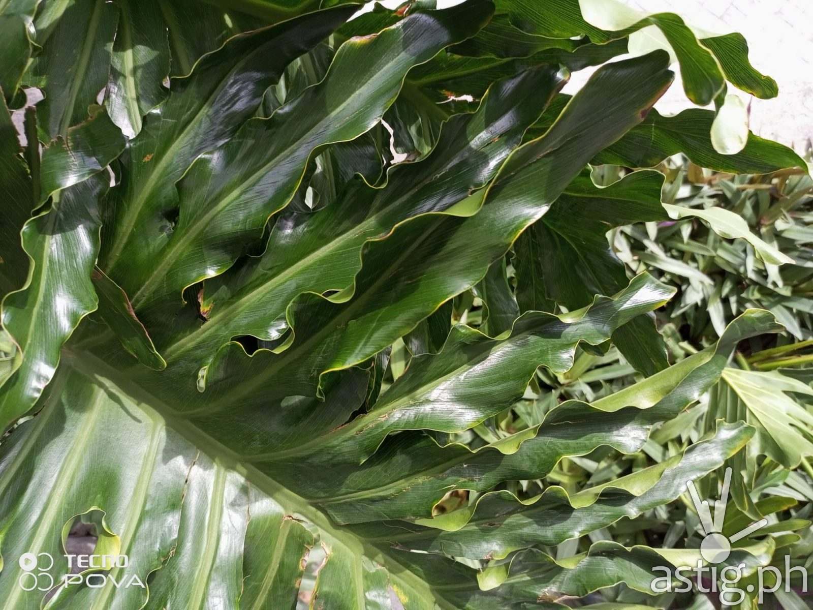 TECNO POVA 2 review: Our favorite TECNO phone so far – ASTIG ...