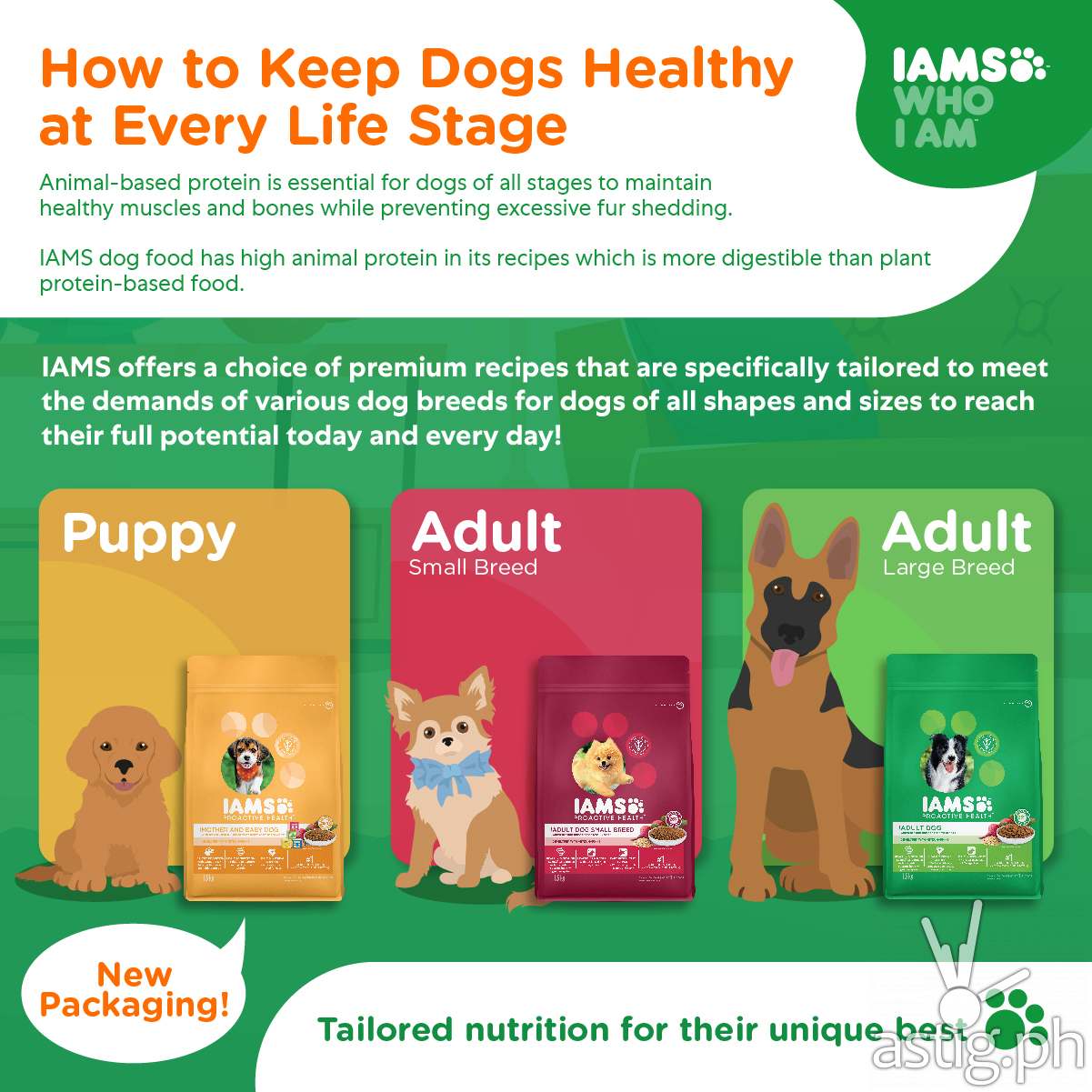 MARS Petcare tell us all about the importance of animal-based protein ...