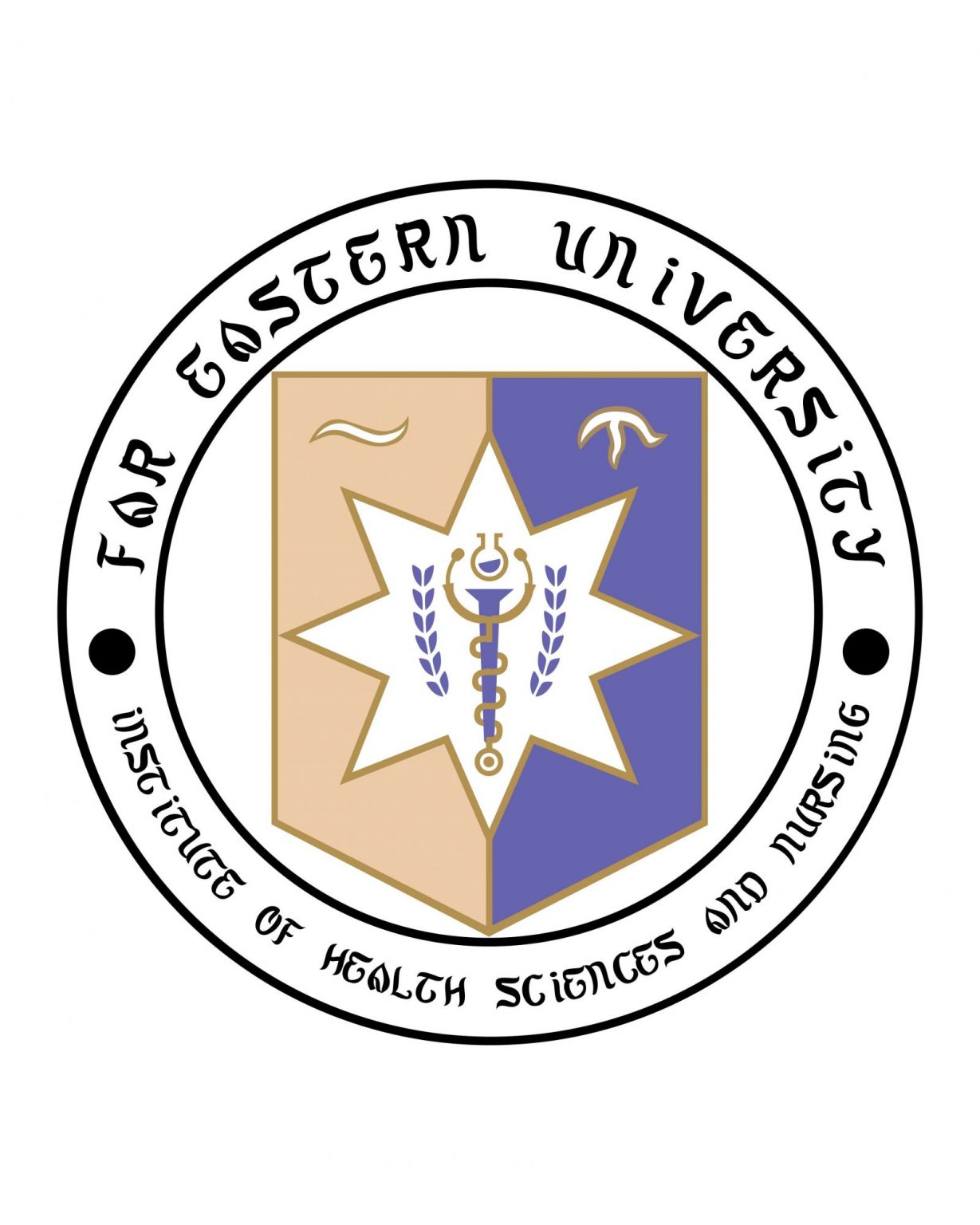 FEU set to expand academic portfolio with new Institute of Health ...