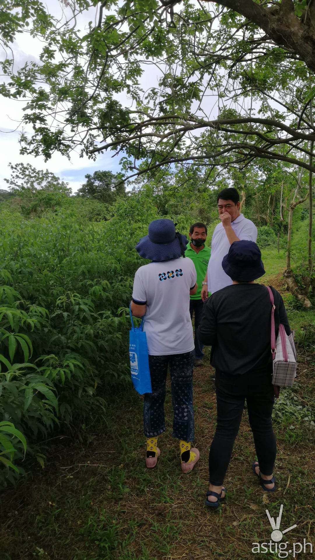 Herbal-based Medicine Lagundi Continues its Quest for Good Health ...