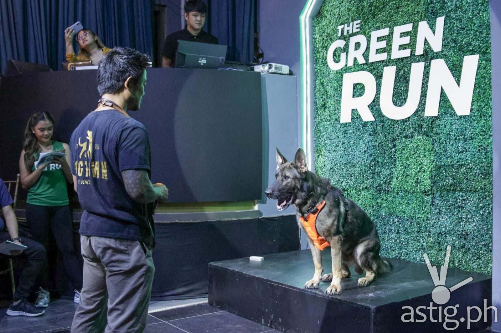 Dog Race etiquette: Do’s and Don’ts of doggie fun runs [guide] – ASTIG ...