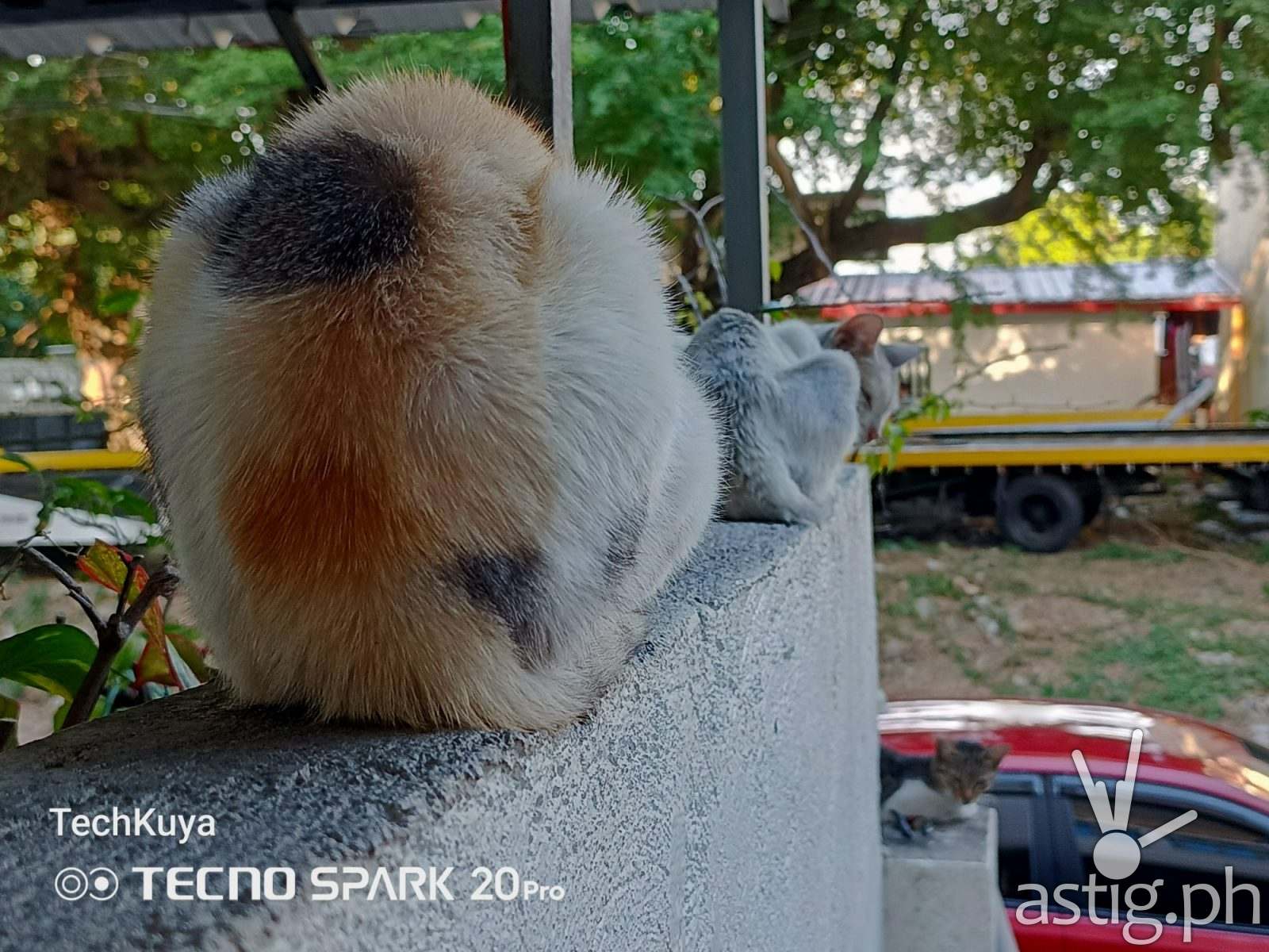 TECNO SPARK 20 Pro review: Chipset of the year! [video] | ASTIG.PH