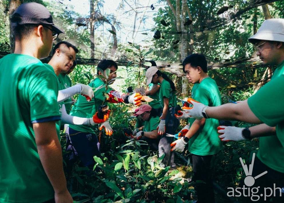 Iconic and Impactful: Xiaomi and Haribon Foundation Take the Step in ...