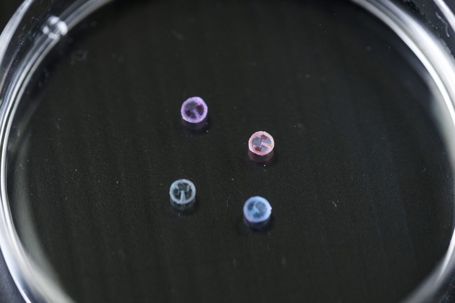 Scientists develop grain-sized drug courier robots that can treat ...