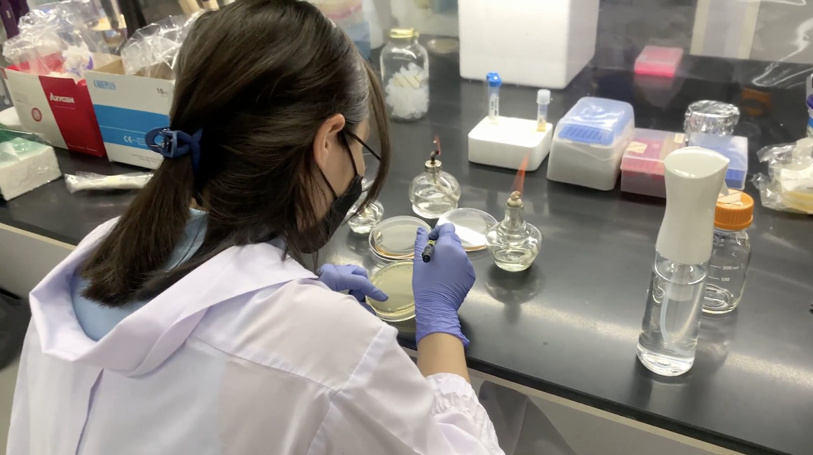 UP researchers feel ‘restricted’ by PH gov in GMO, gene editing ...